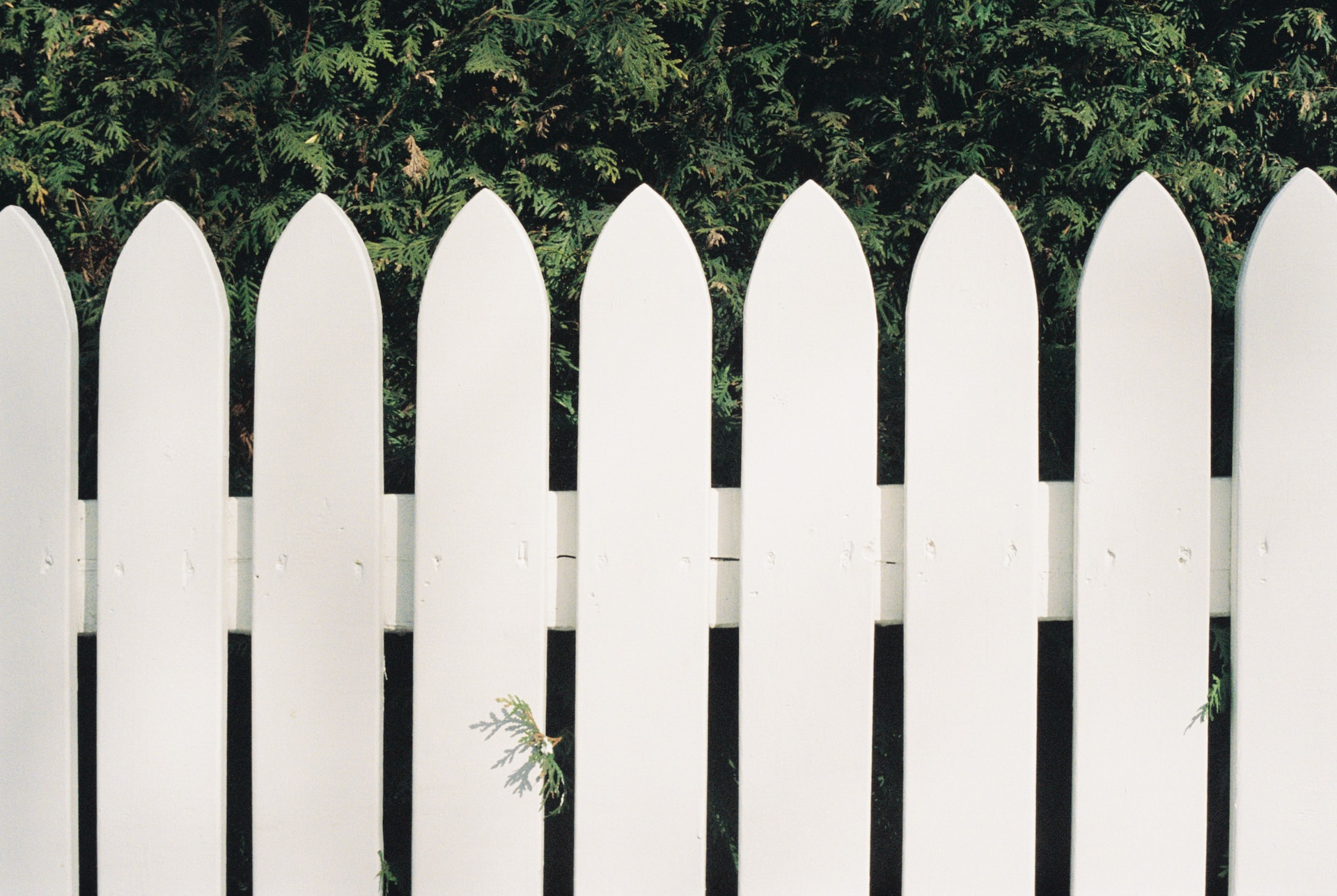 Building a White Picket Fence in Toronto - City Wide Fence Building